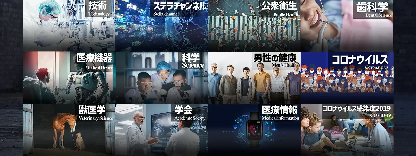 ANCHOR試験 | STELLANEWS.LIFE